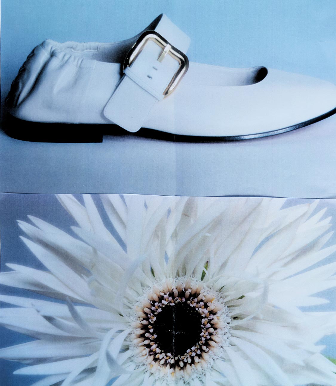 Shop Women Shoes & Accessories in Australia | Level Shoes