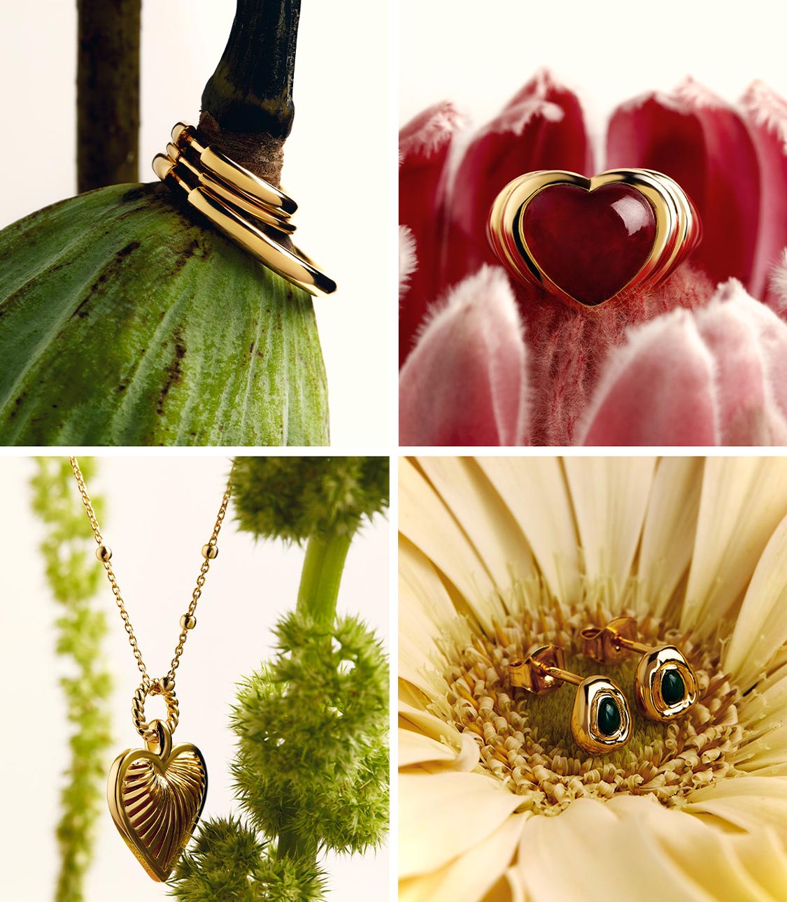 Shop Women Shoes & Accessories in UAE | Level Shoes