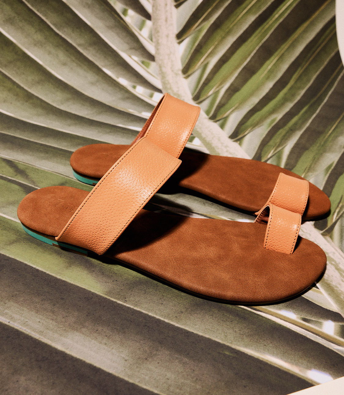 Shop Women Shoes & Accessories in Australia | Level Shoes